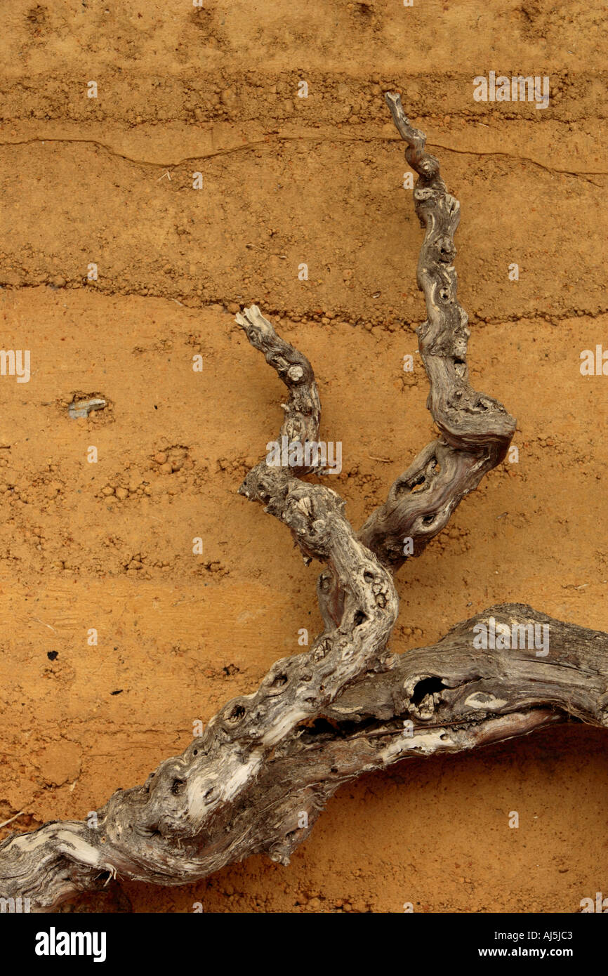 Twisted branch hi-res stock photography and images - Alamy