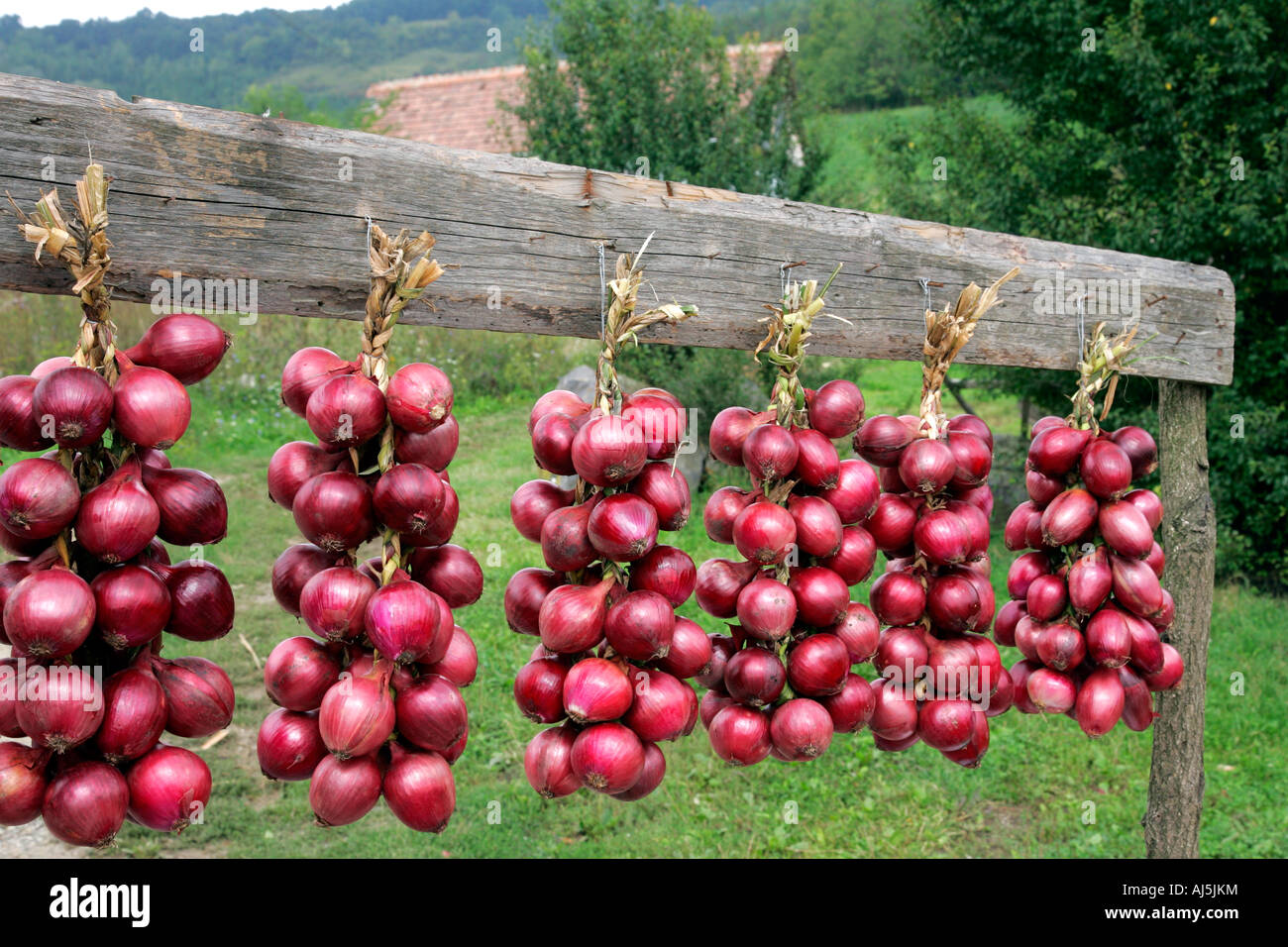 Onion strings hi-res stock photography and images - Alamy