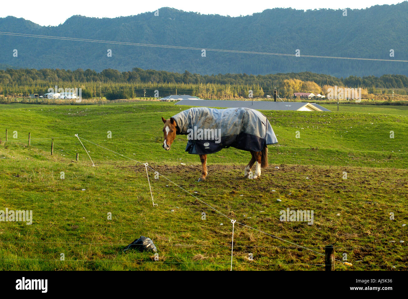 New Zealand South Island Stillwater farm area Stock Photo - Alamy