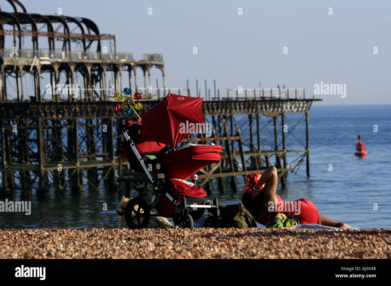 Woman with dog in pram hi-res stock photography and images - Alamy