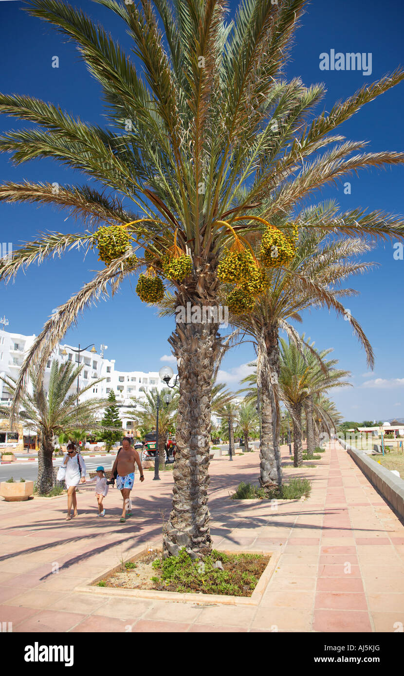 Tourists walking under Date Tree New Mammamet Tunisia Stock Photo - Alamy