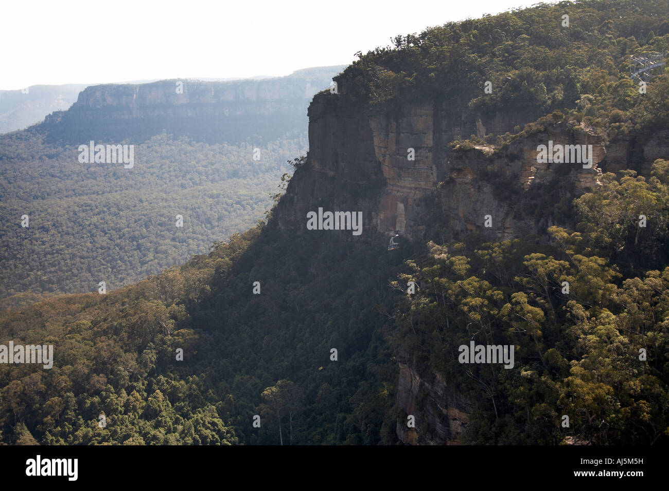 Forest edge fauna hi-res stock photography and images - Alamy