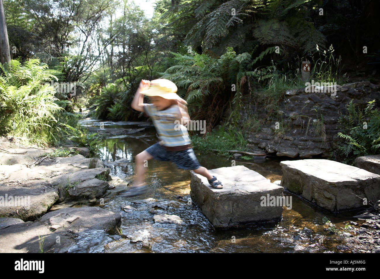 Young boy child jumping from stepping stones over stream in forest near ...