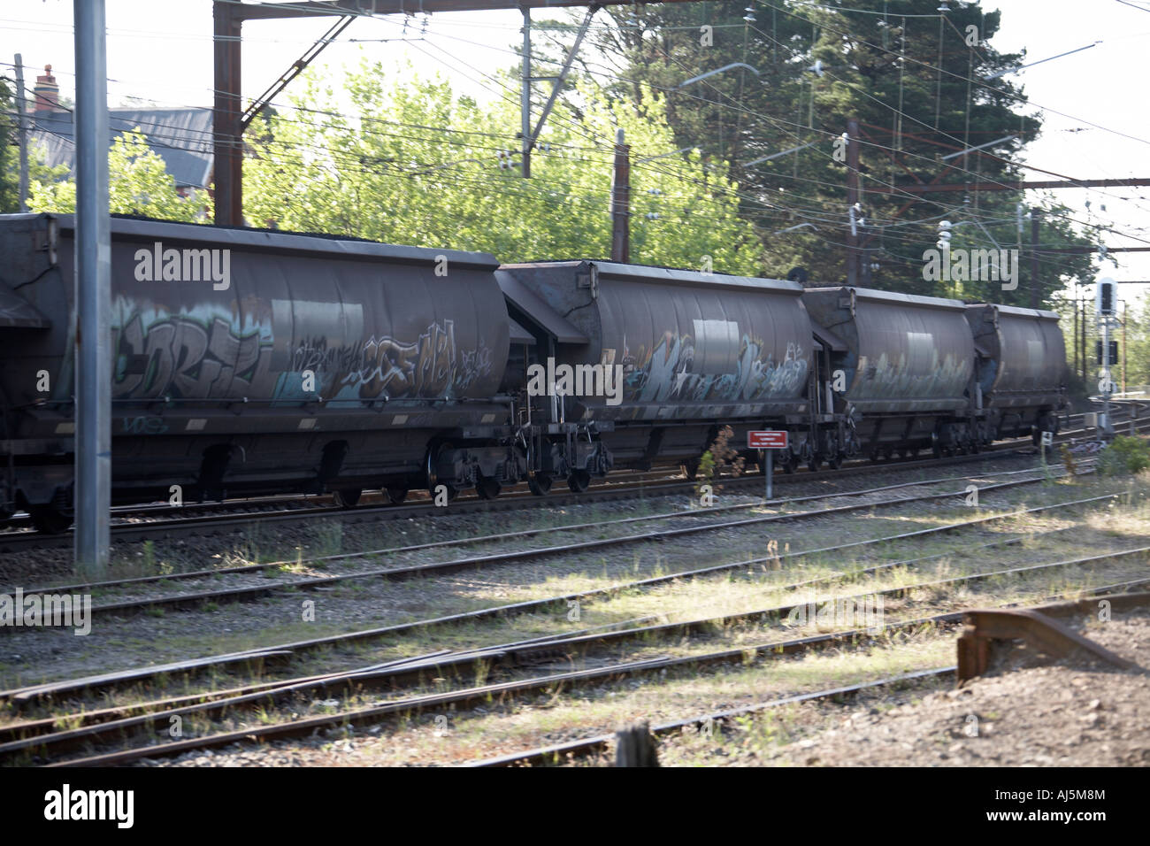 Goods train with wagons full of coal in Katoomba Blue Mountains New ...