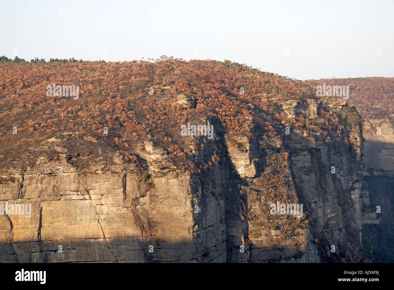 View of clifftop escarpments from Govetts Leap with extensively burnt ...