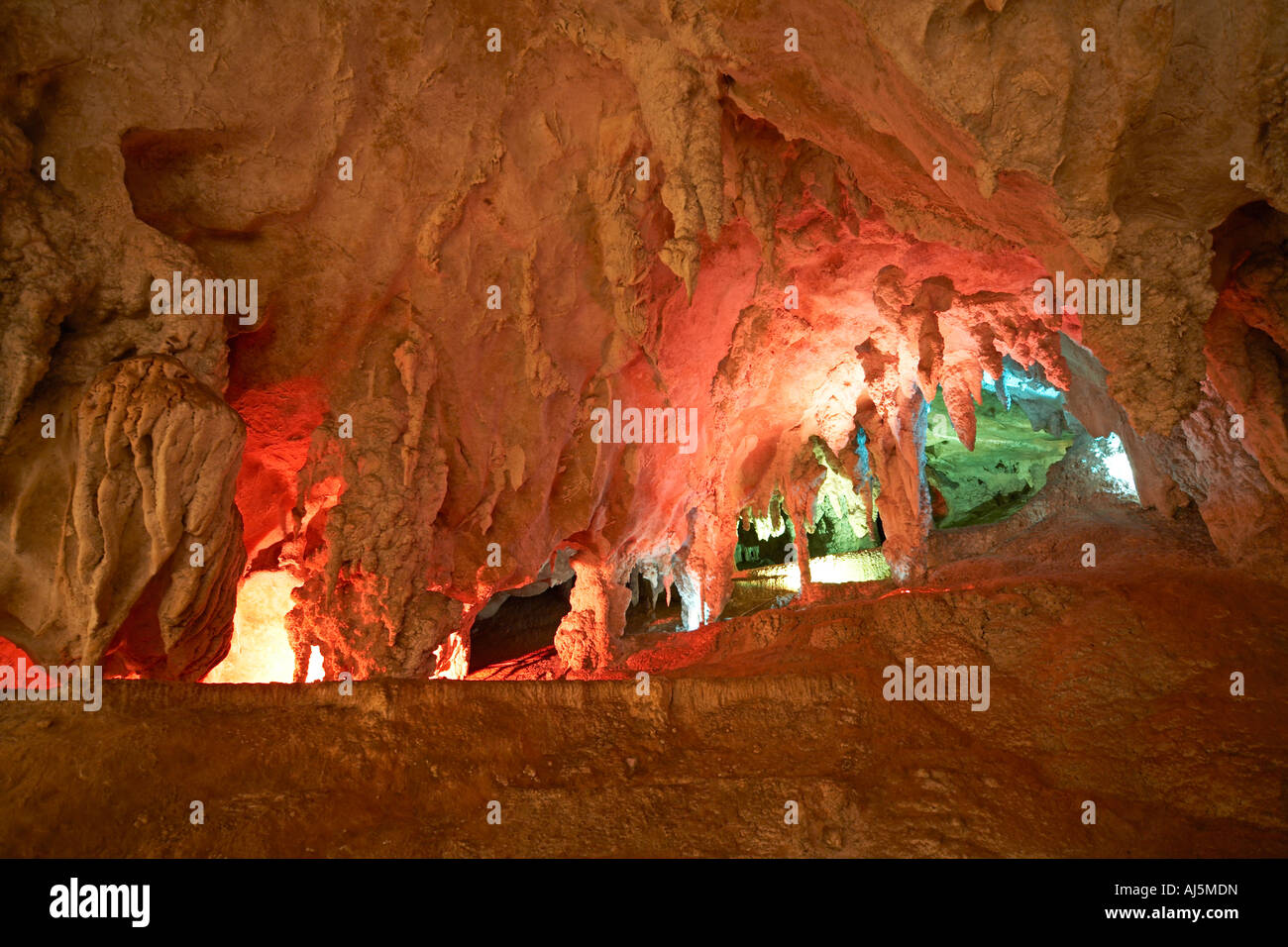 Stalagmites and stalagtites with coloured lights in Chifley Cave at ...