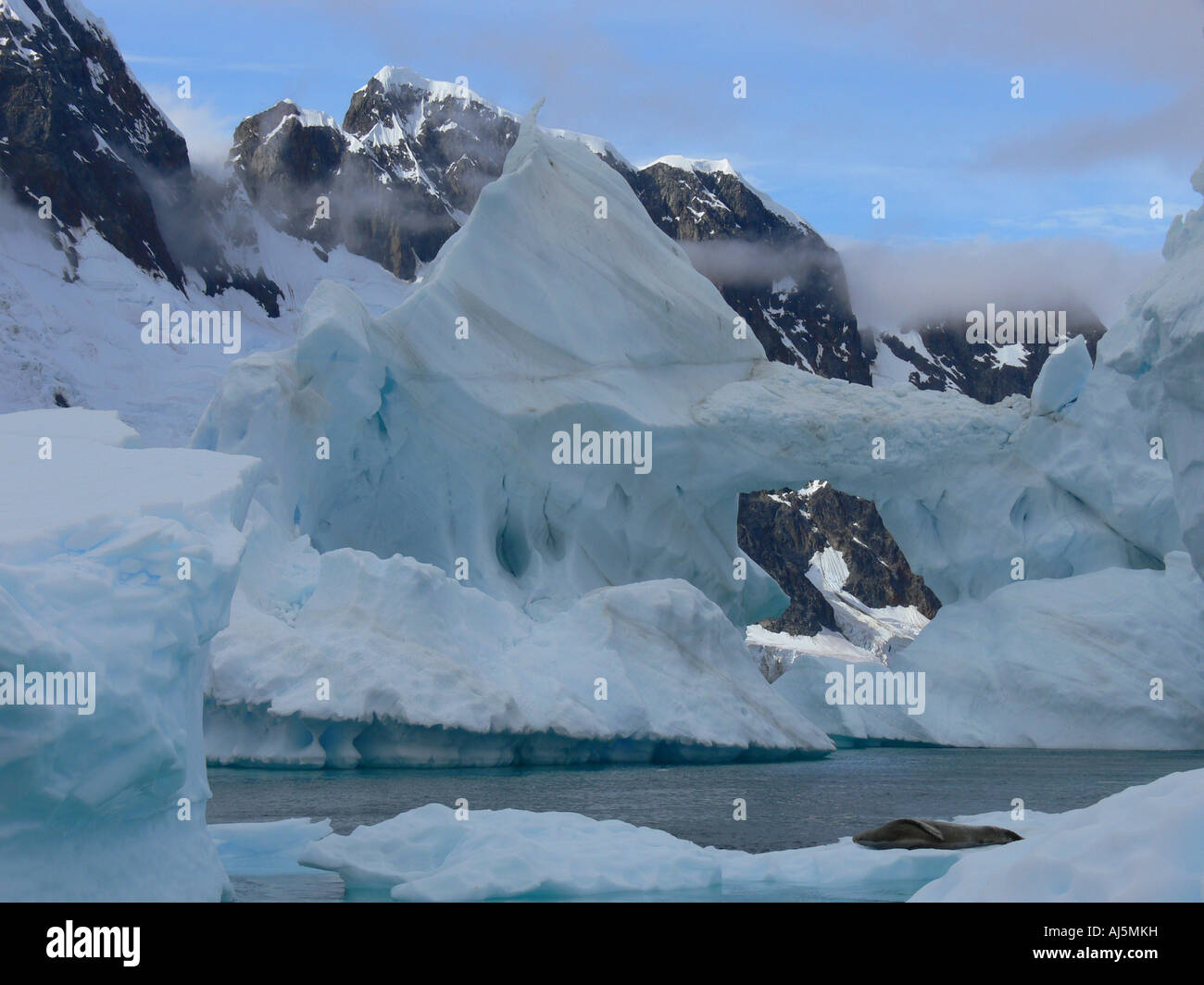 Charcot island hi-res stock photography and images - Alamy