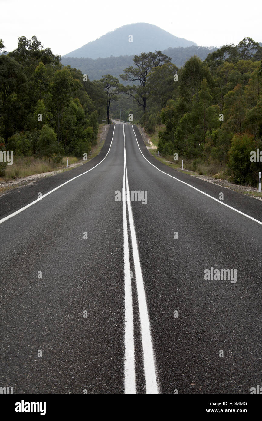 Road receding into the distance through gum or eucalyptus tree forests ...