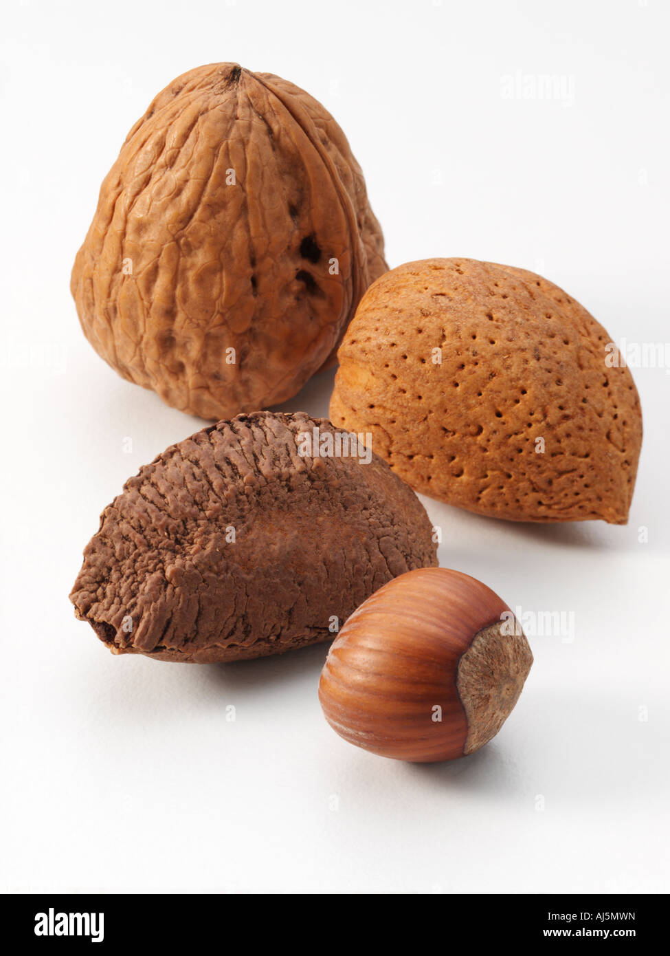 Assortment various nuts on a white background Stock Photo - Alamy