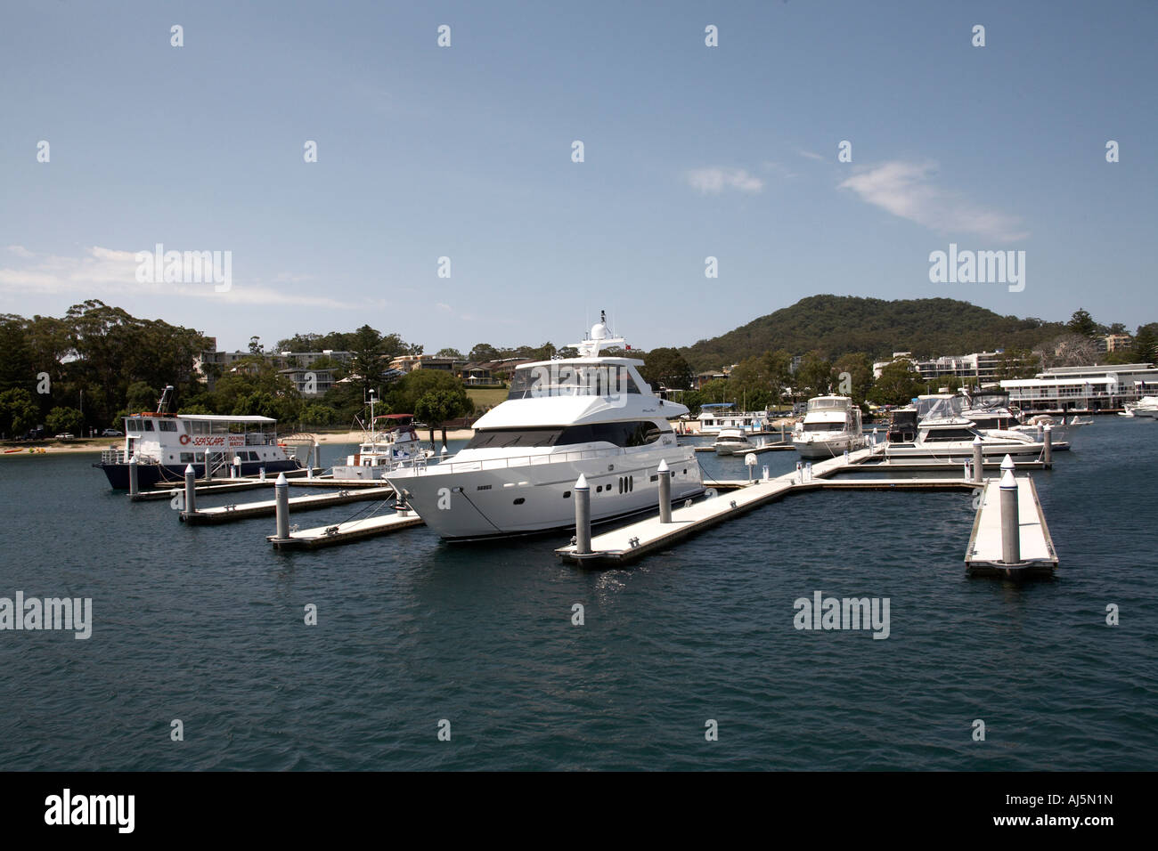 Fauna marina hi-res stock photography and images - Alamy