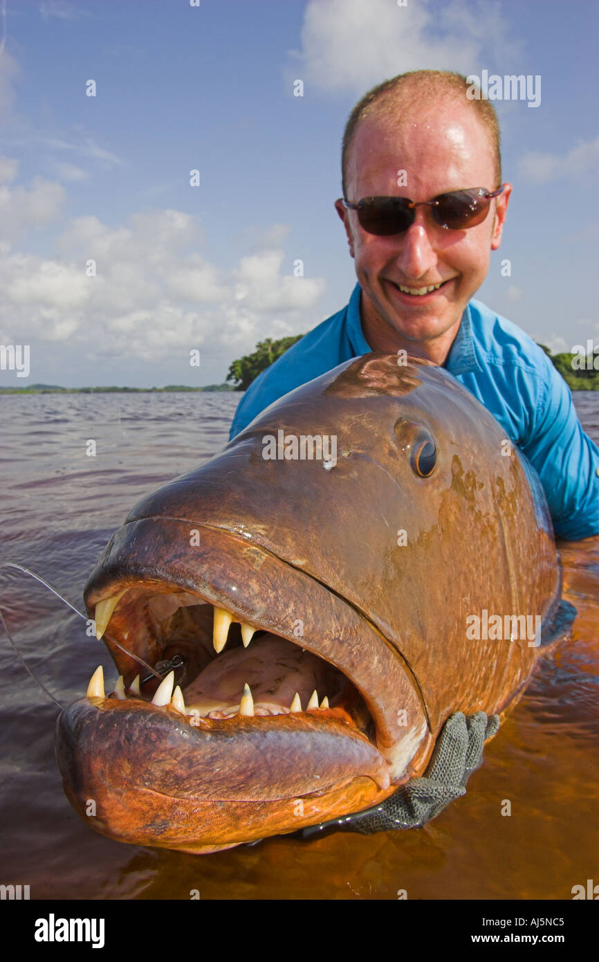 Cubera snapper hi-res stock photography and images - Alamy