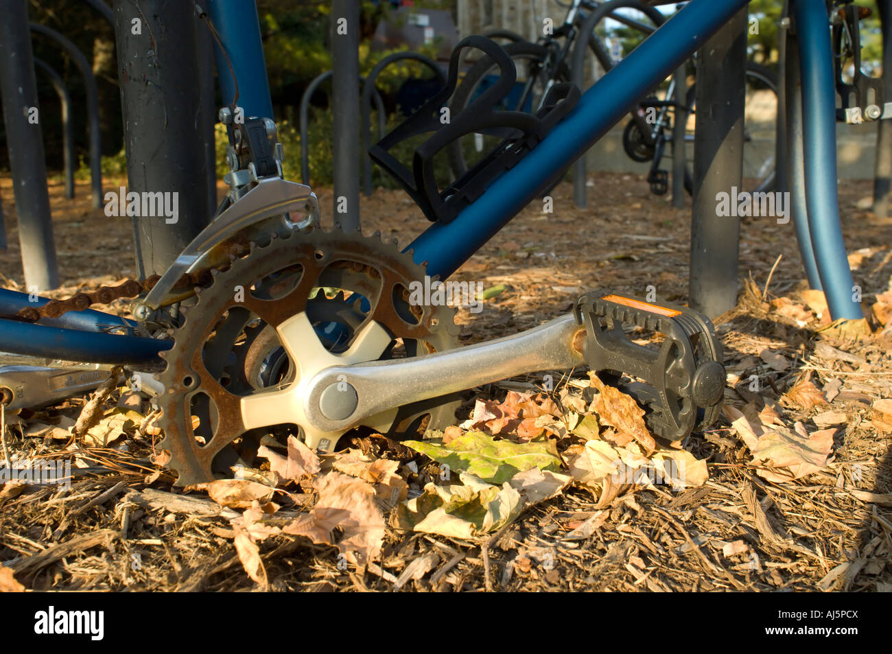 Bicycle with no wheels on bike rack Stock Photo - Alamy
