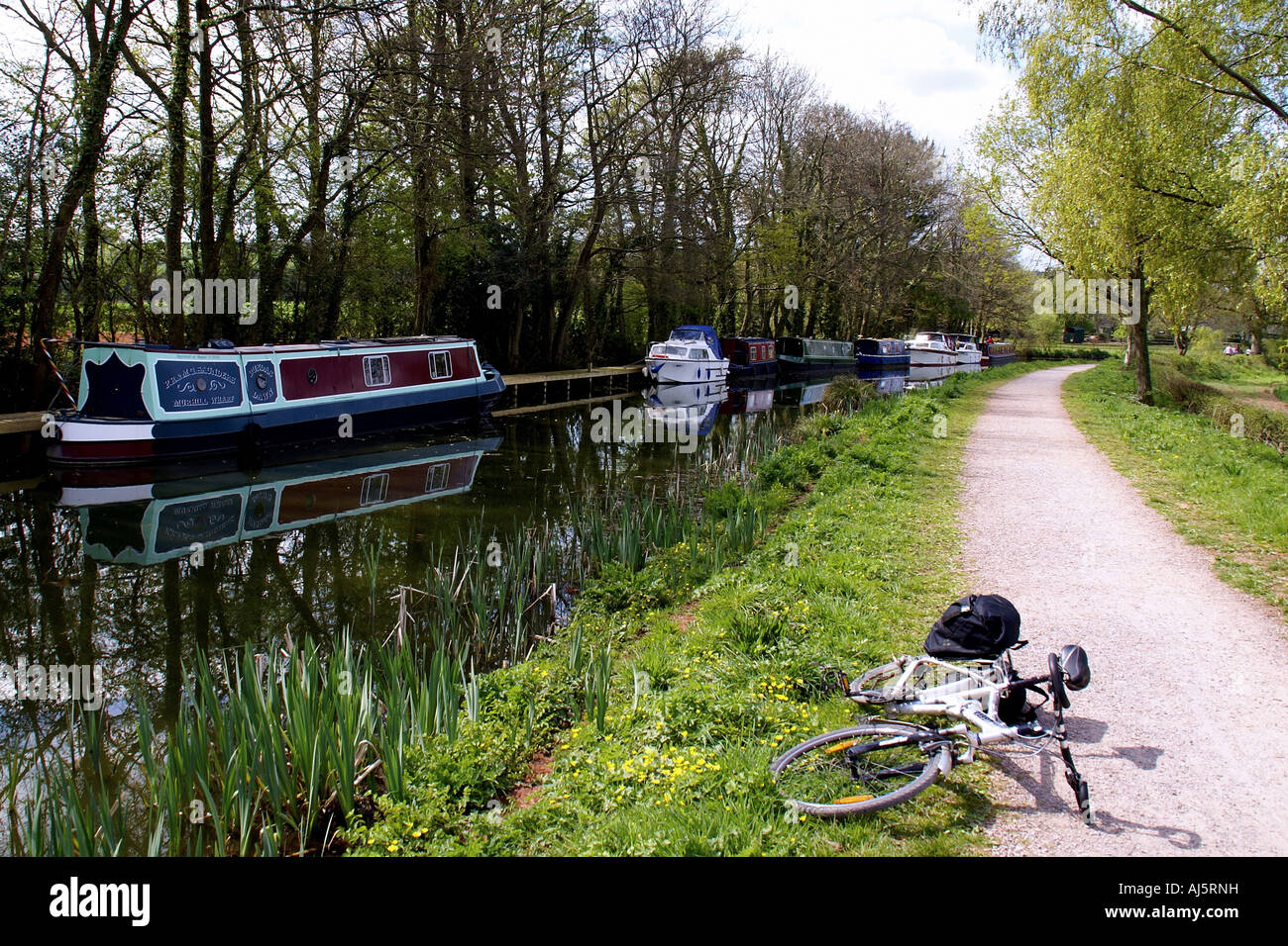 Great Western Canal near Tiverton Devon Stock Photo - Alamy