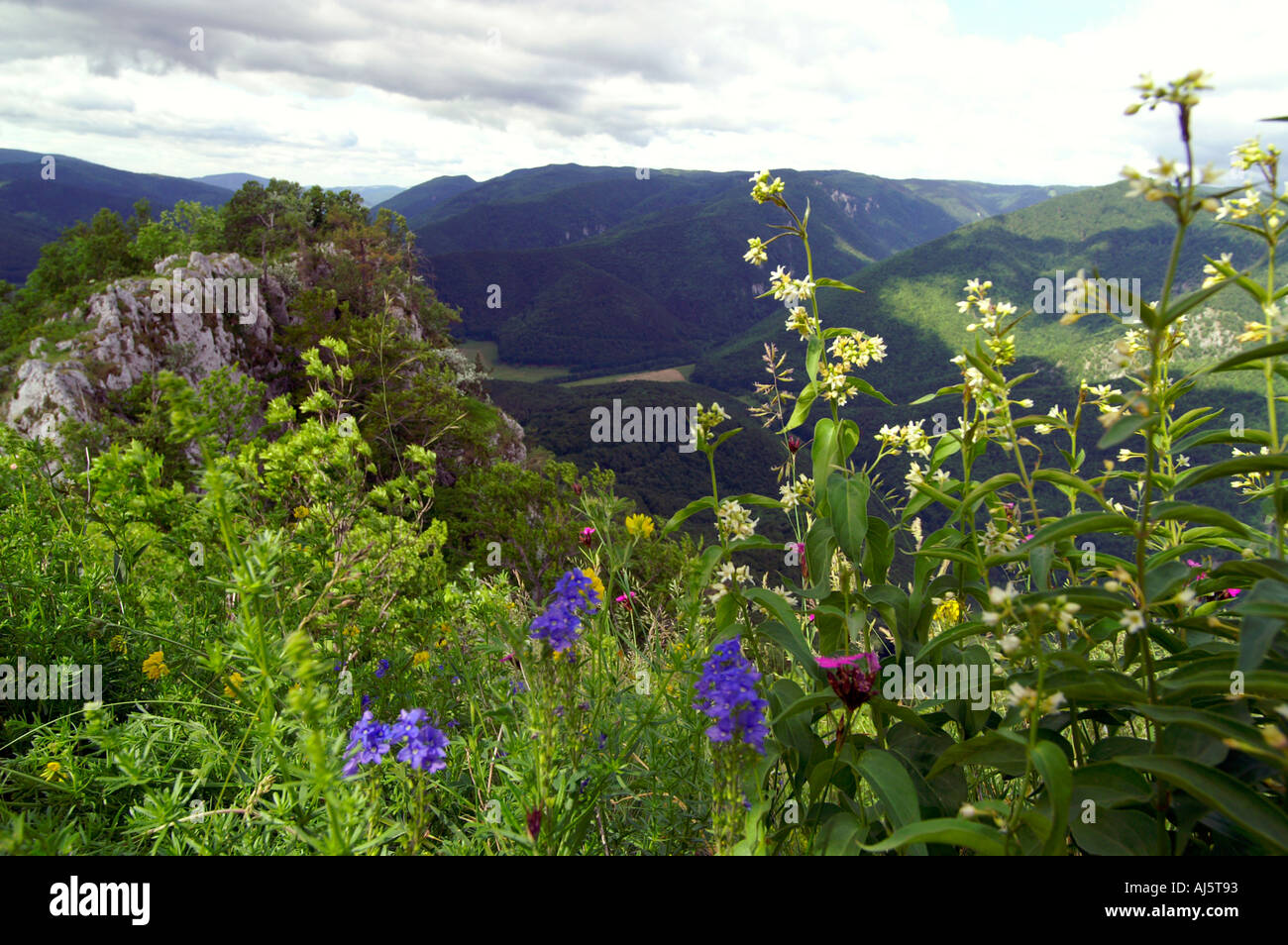 Ciganka hi-res stock photography and images - Alamy