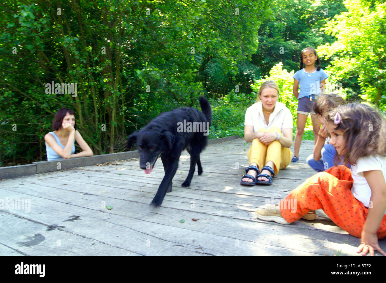 Black dog Crossing the Bridge Stock Photo - Alamy
