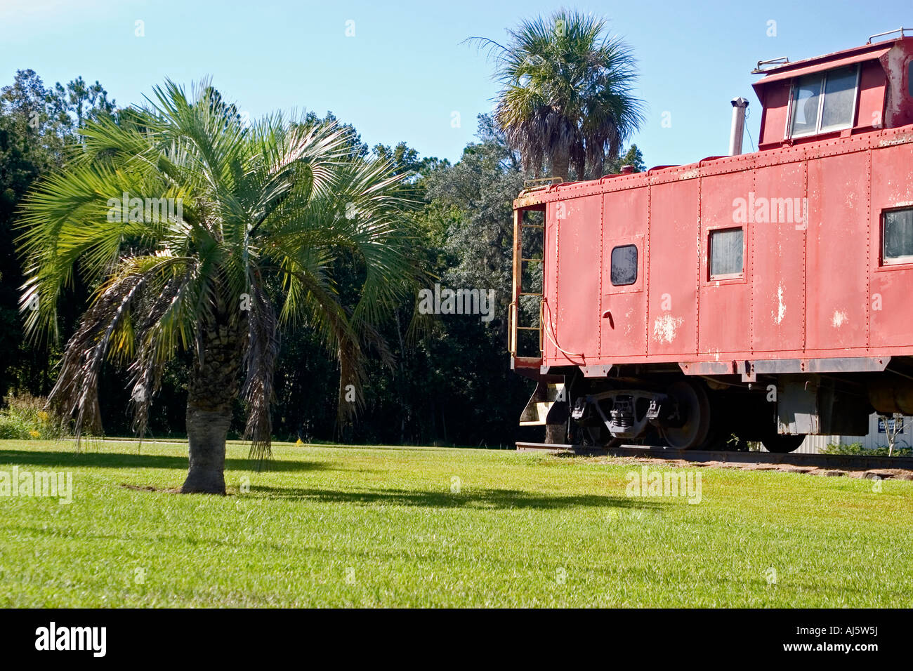 Train car next to a palm tree in Florida Stock Photo - Alamy