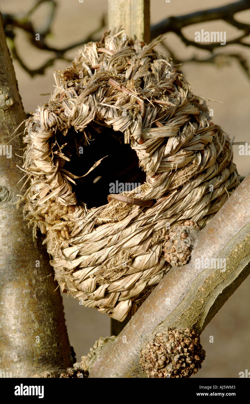 Roosting pocket hi-res stock photography and images - Alamy