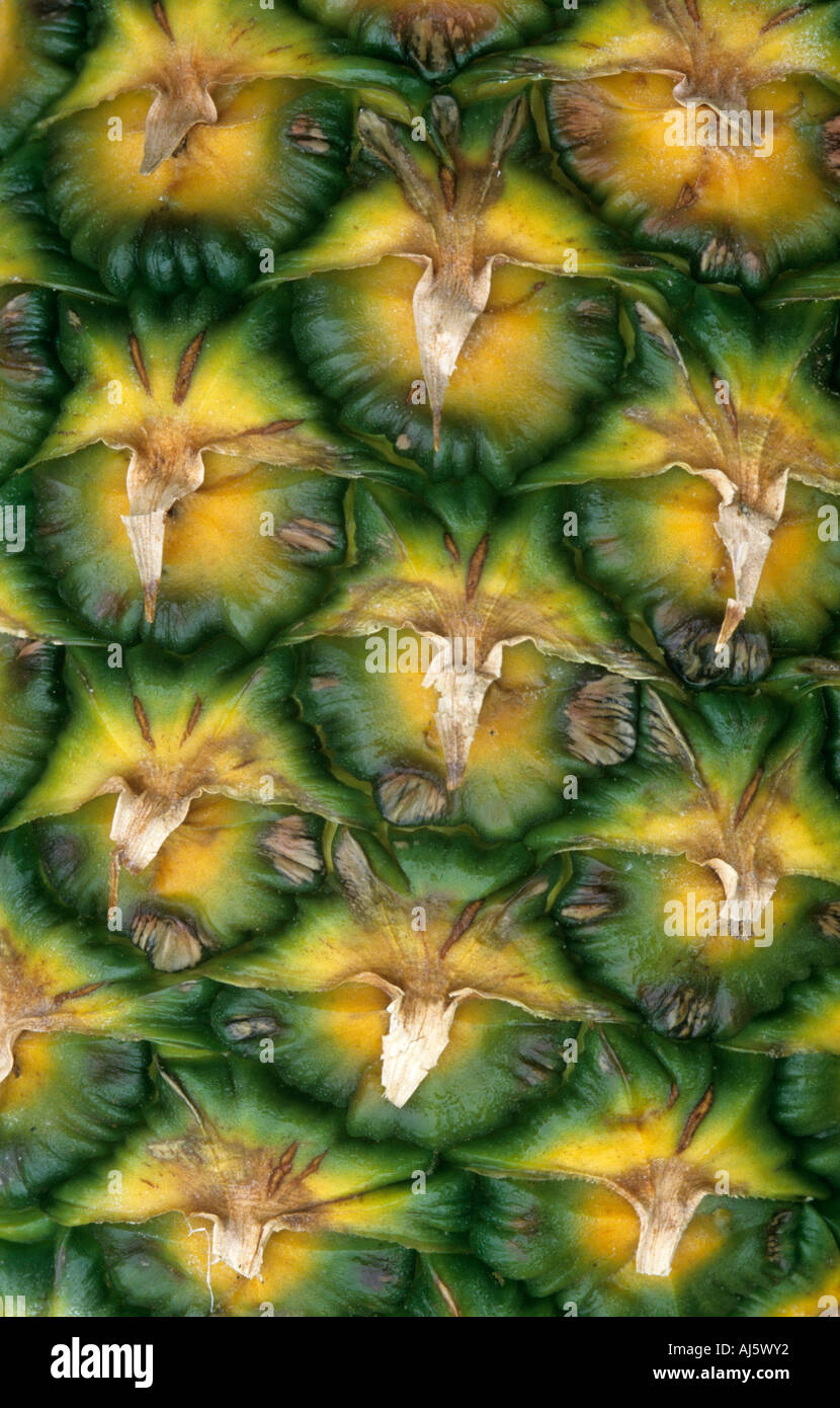 Skin of pineapple fruit Stock Photo - Alamy