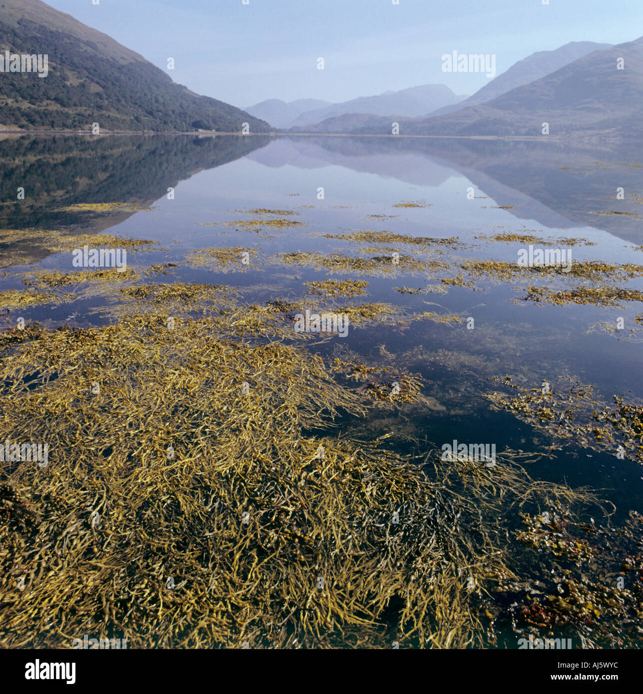 Tidal sea loch hi-res stock photography and images - Alamy