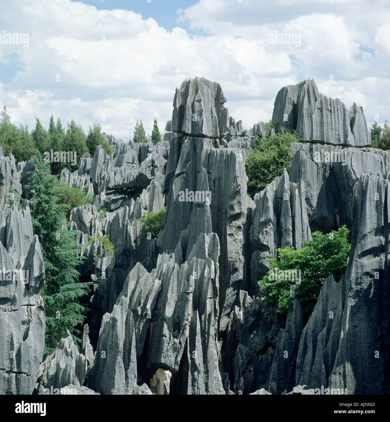 Grey limestone hi-res stock photography and images - Alamy