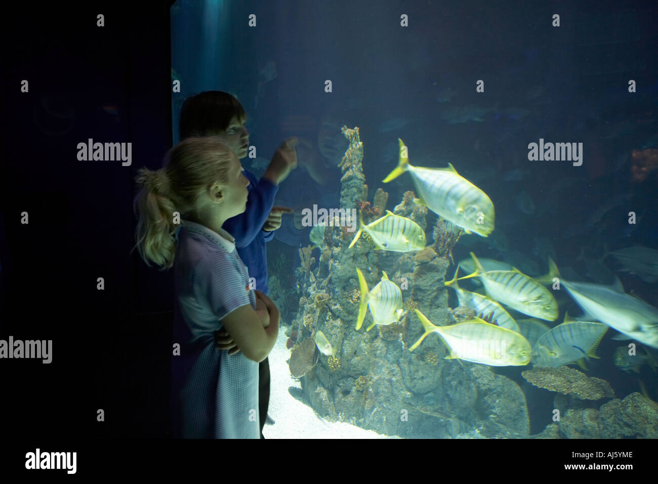 Sea life centre hull hi-res stock photography and images - Alamy