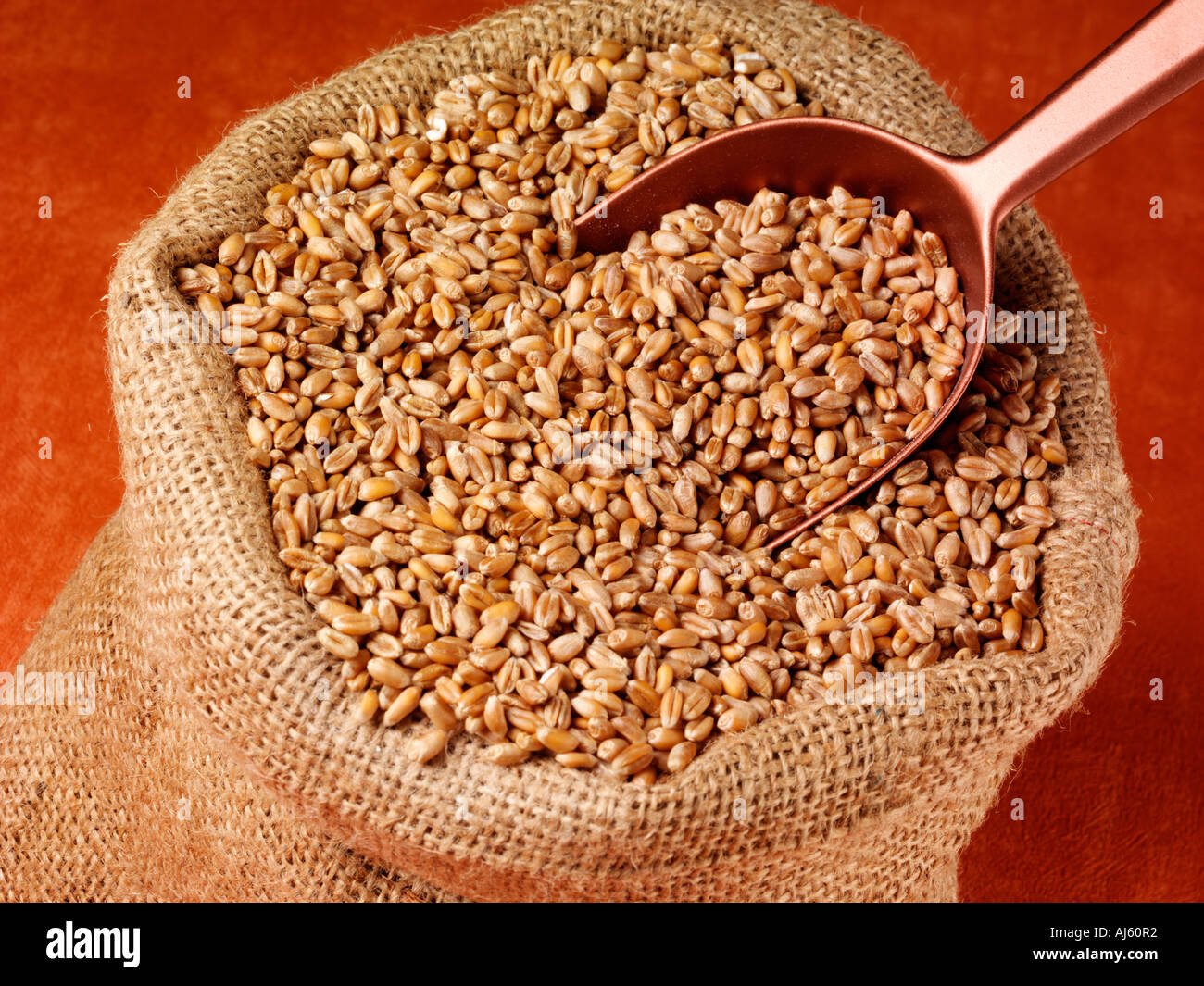 SACK OF WHOLE WHEAT GRAINS Stock Photo - Alamy