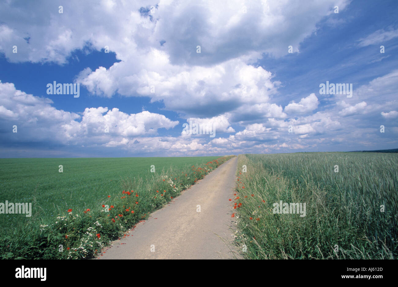 Straight running hi-res stock photography and images - Alamy