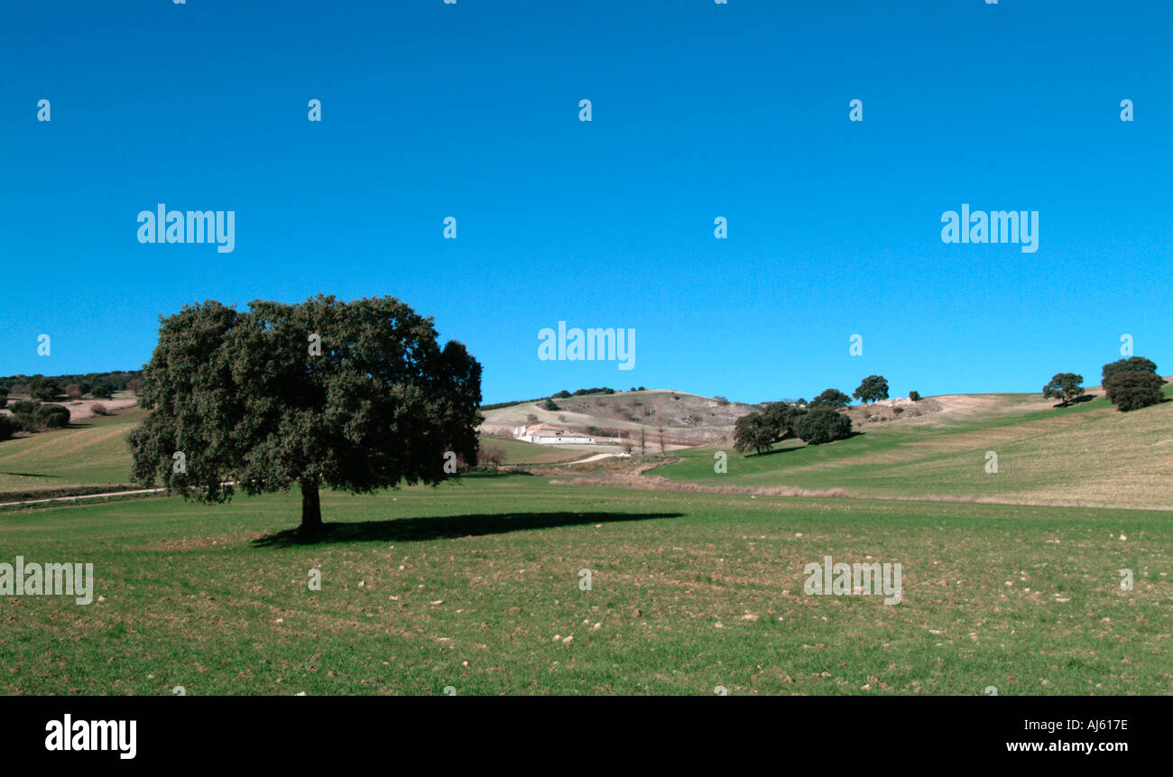 Illora spain hi-res stock photography and images - Alamy