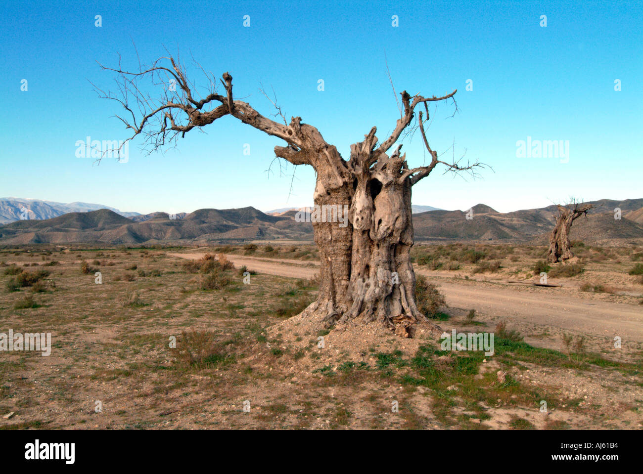 Tabernas desert walking hi-res stock photography and images - Alamy