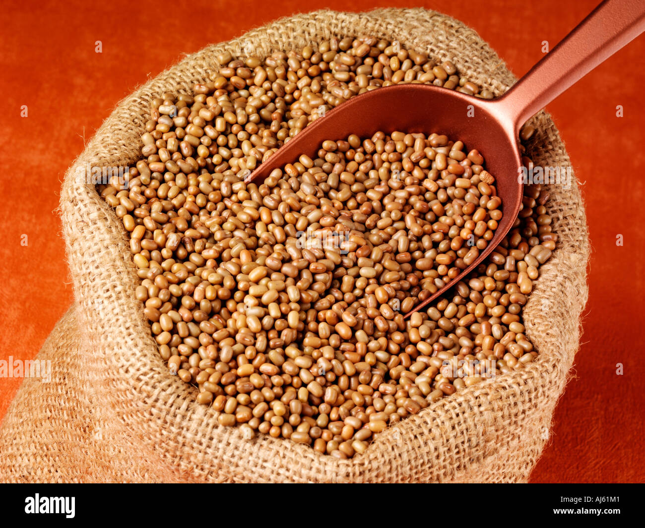 SACK OF MUTH / MOTH BEANS Stock Photo - Alamy