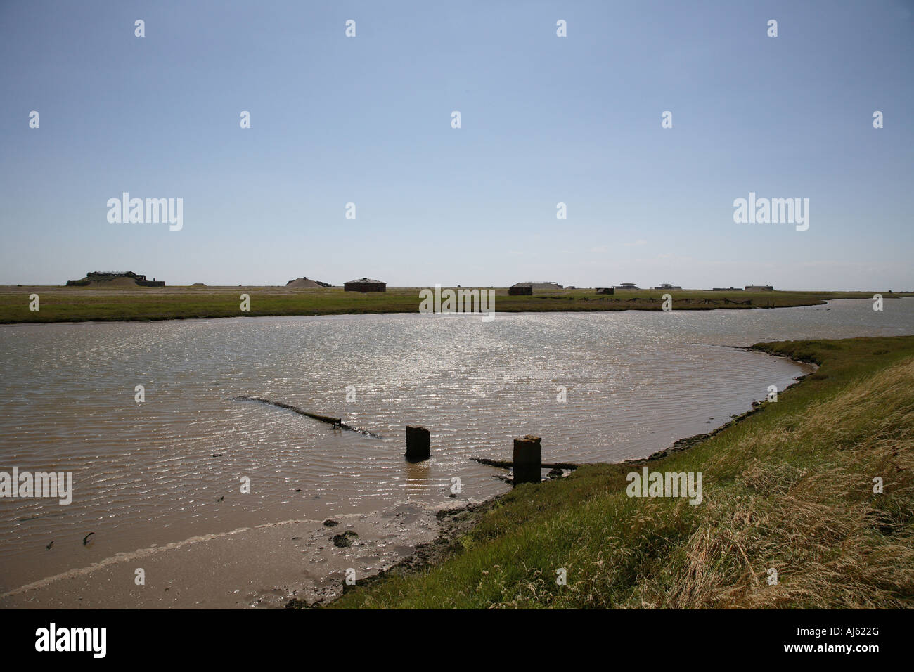 Orford ness suffolk beach wildlife hi-res stock photography and images ...