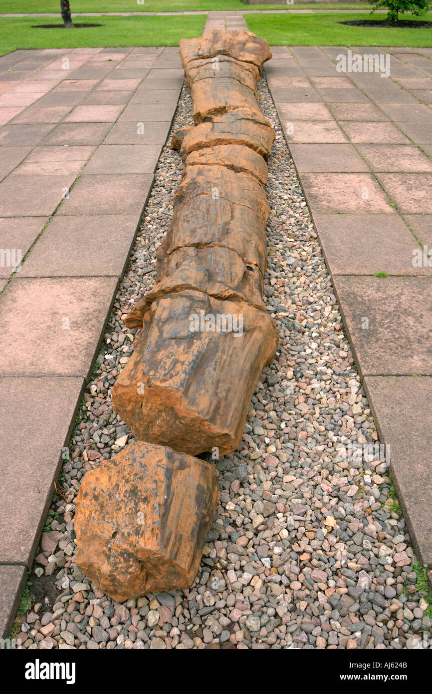 Dinosaur age hi-res stock photography and images - Alamy