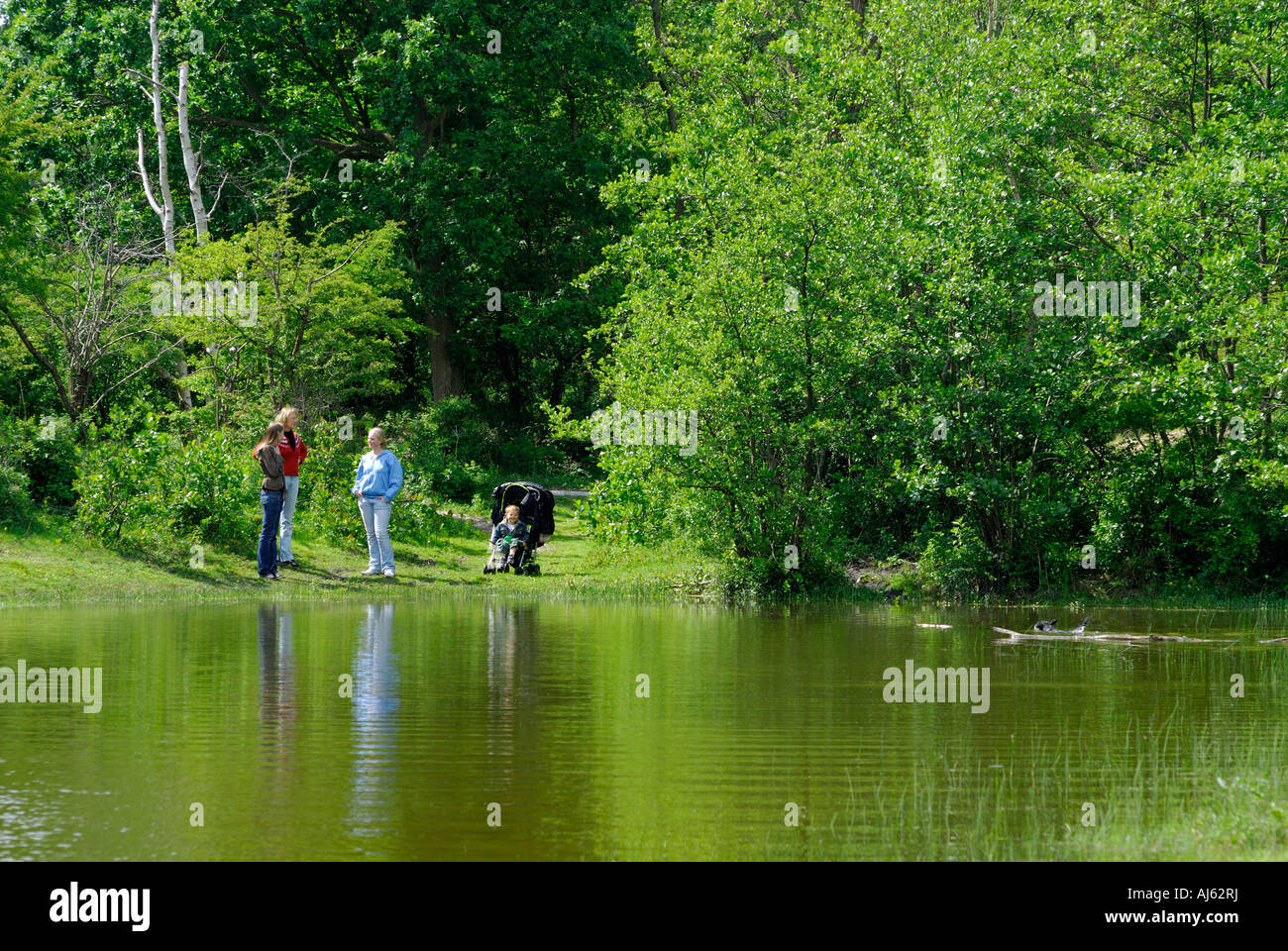 City place Oostvoorne province Zuid-Holland , nature aeria place ...