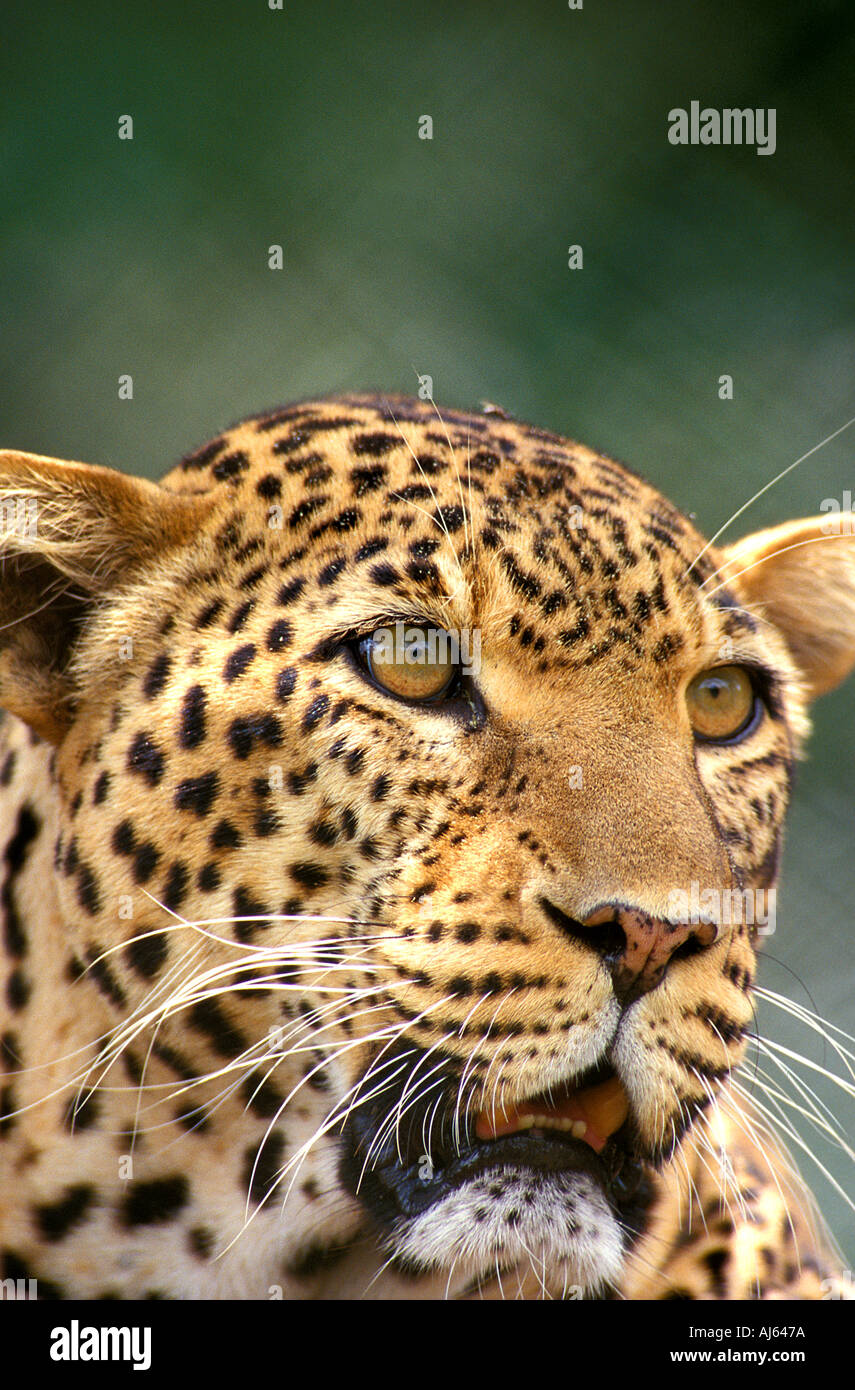 Parbus hi-res stock photography and images - Alamy