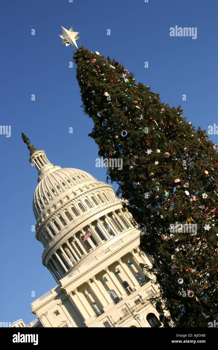 US Capitol Building and National Christmas tree in Washington DC Stock ...