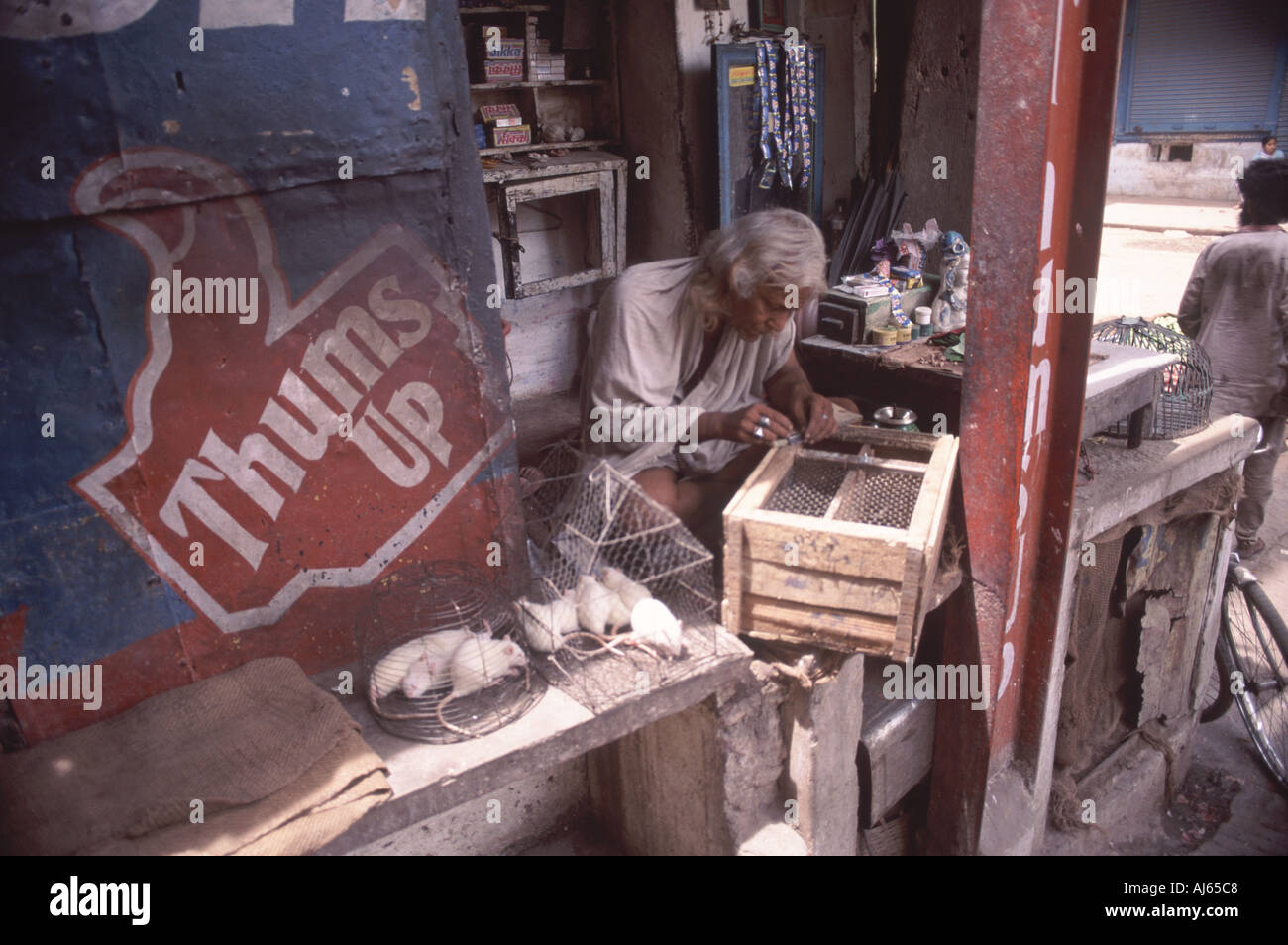 Rat Catcher Delhi India Stock Photo - Alamy