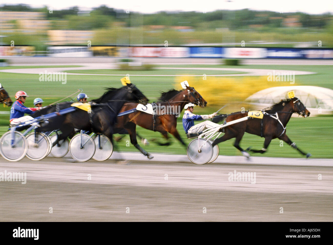 Team of horses trotting legs hi-res stock photography and images - Alamy