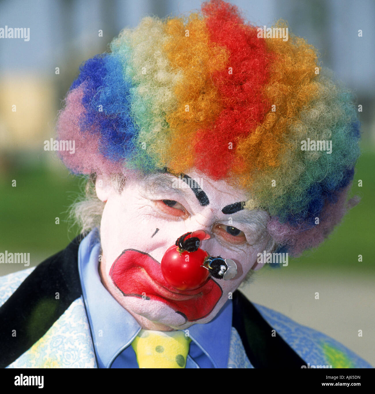 Painted clown face with colorful bushy wig Stock Photo - Alamy