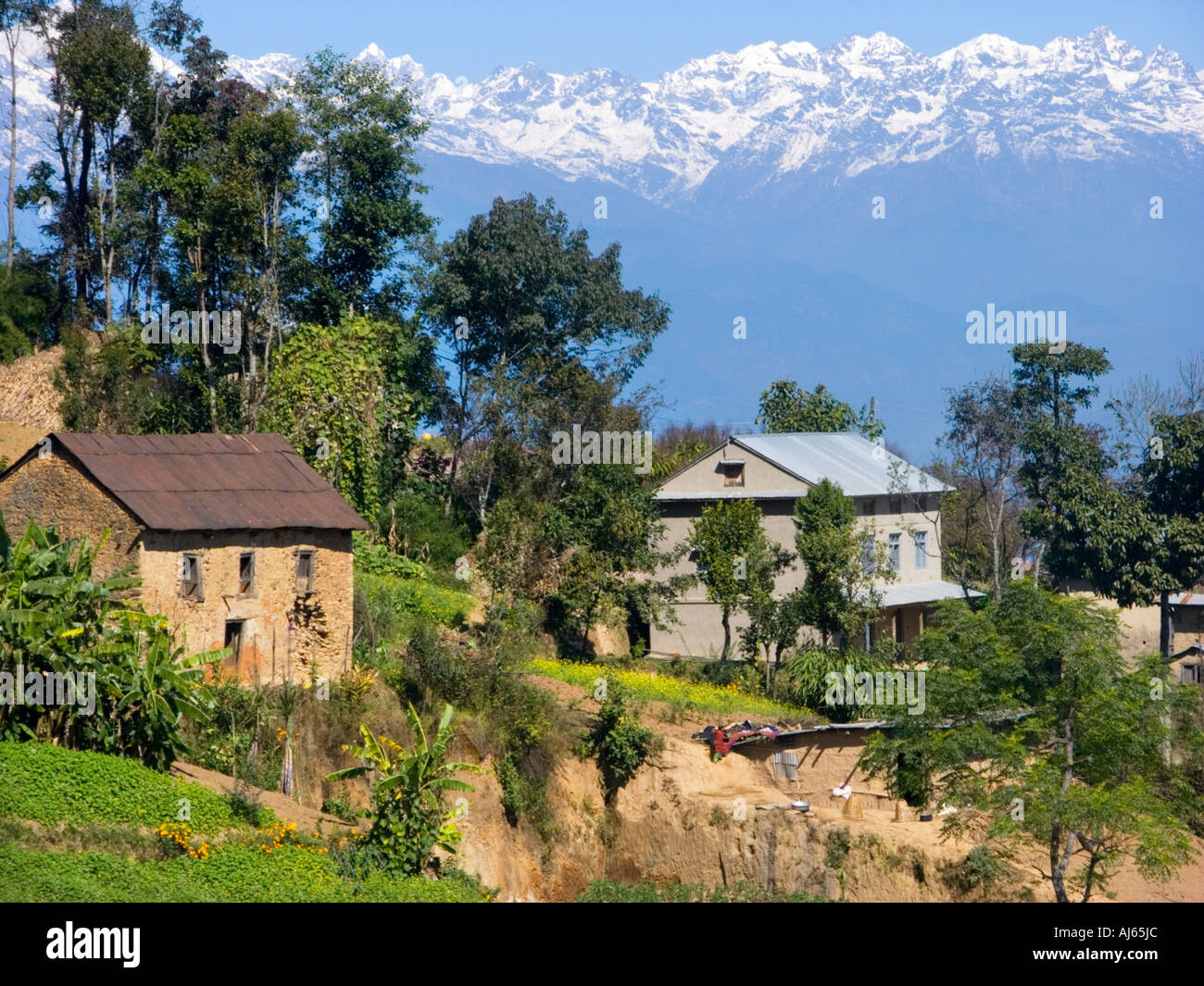 houses way highland himalayan range of hills terrace field Plateau ...