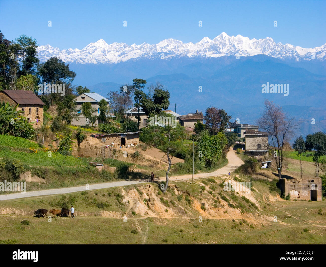 houses way highland himalayan range of hills terrace field Plateau ...