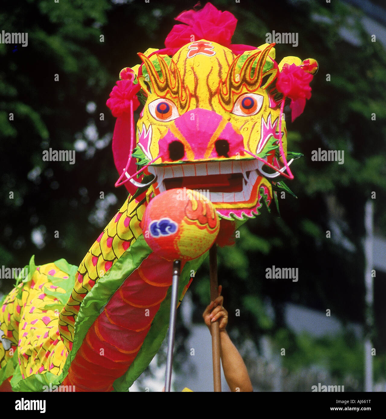 Chinese Draak Rand