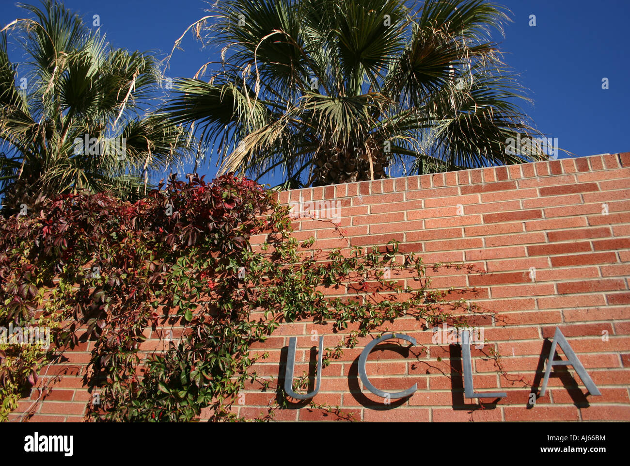 Ucla campus hi-res stock photography and images - Alamy