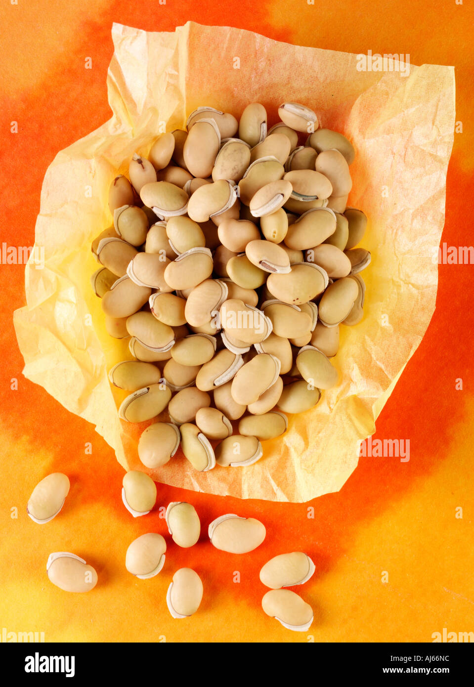 Val Beans High Resolution Stock Photography and Images - Alamy
