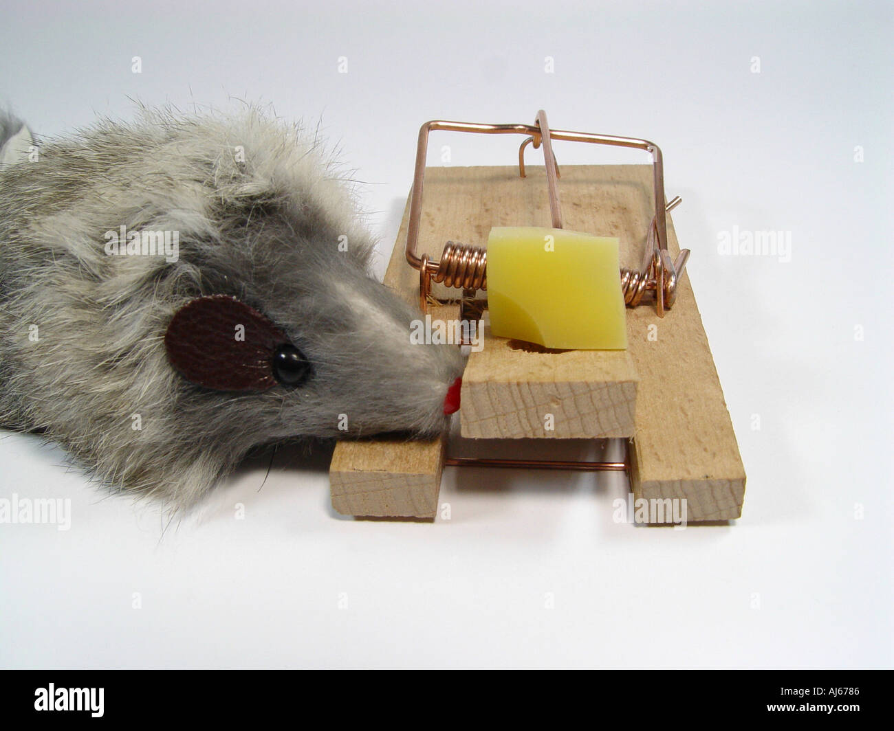 Mouse in the mousetrap symbol for into the trap go Losing transaction ...