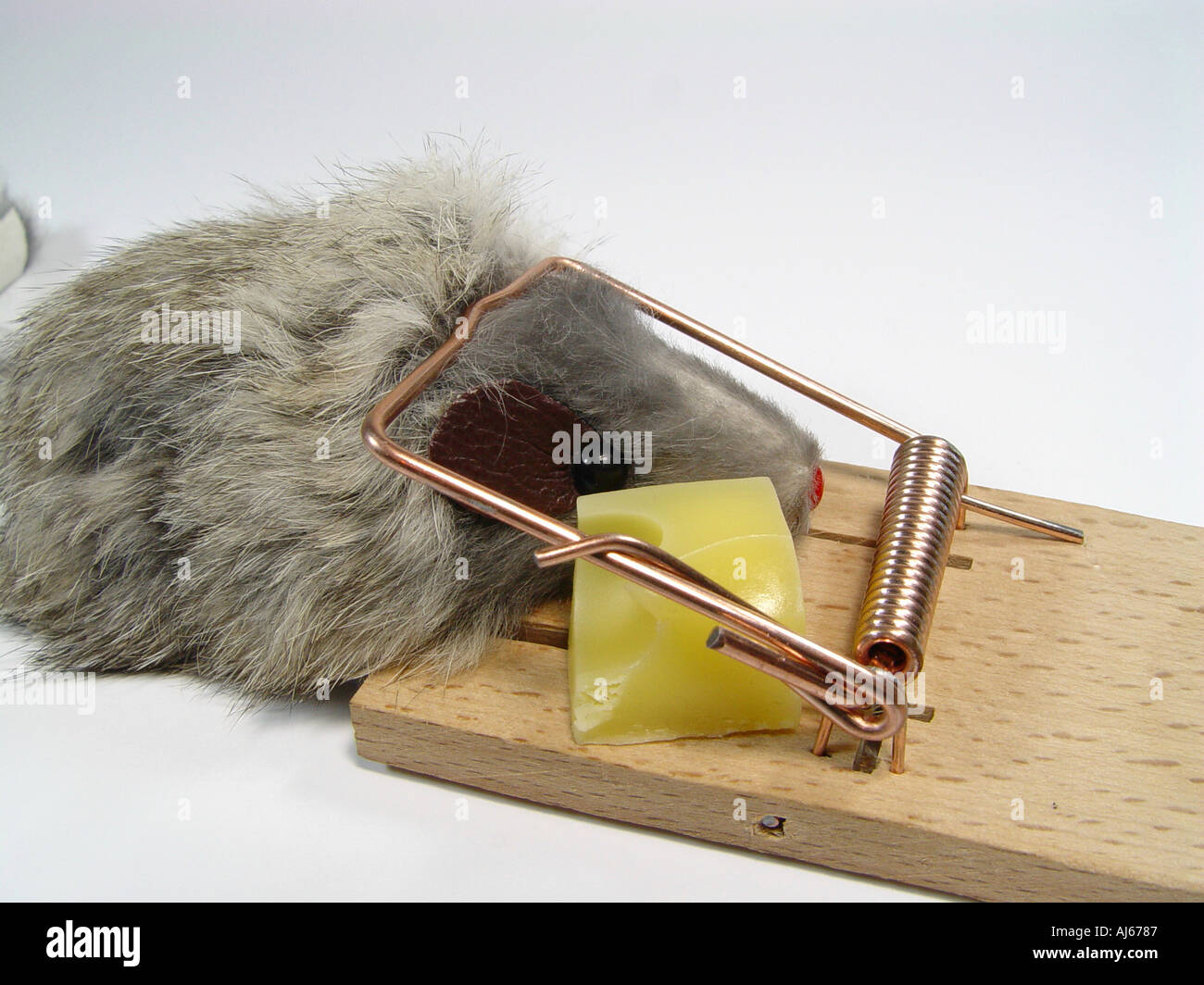 Mouse in the mousetrap symbol for into the trap go Losing transaction ...