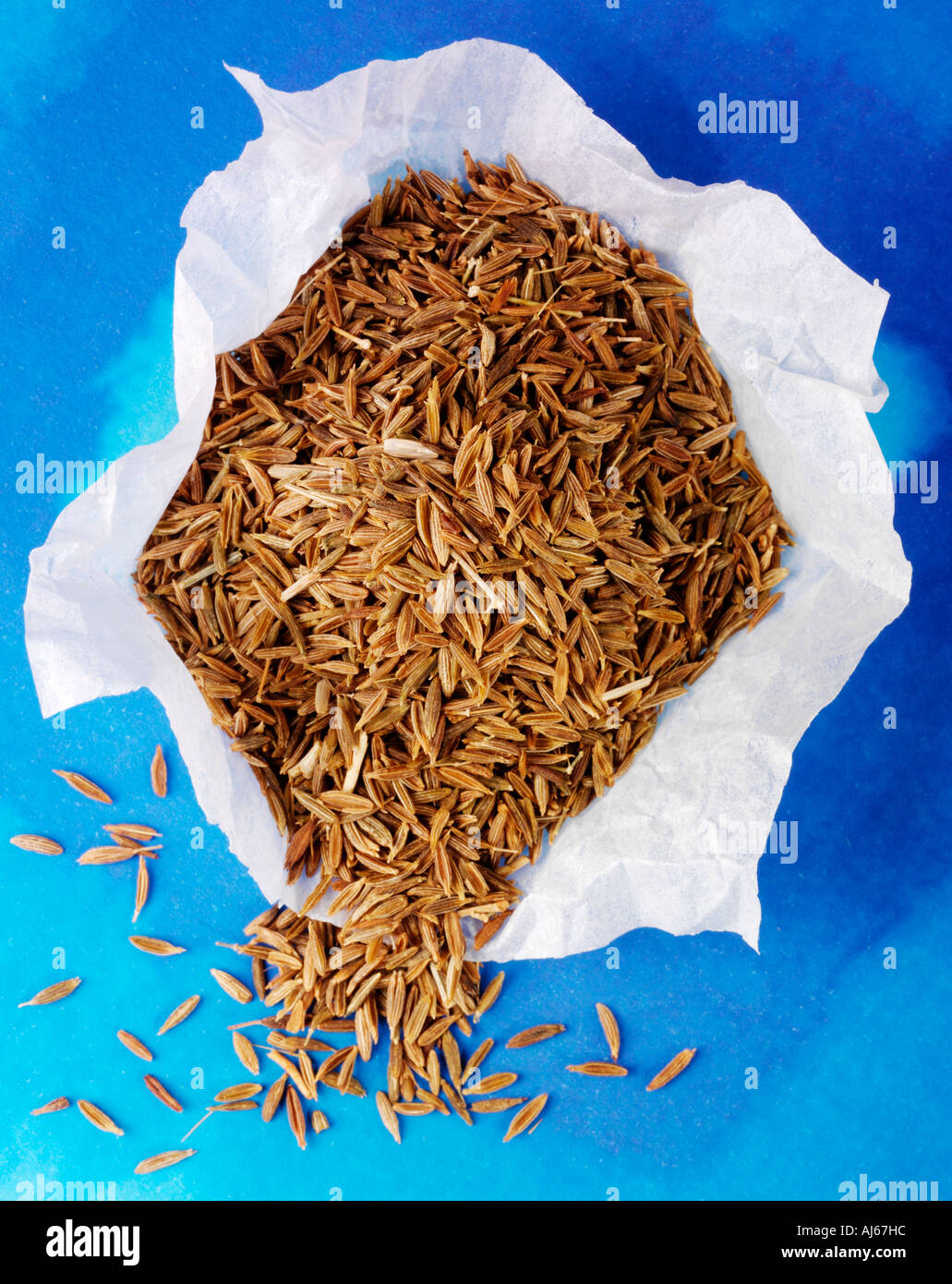Cumin dried seeds jeera hi-res stock photography and images - Alamy