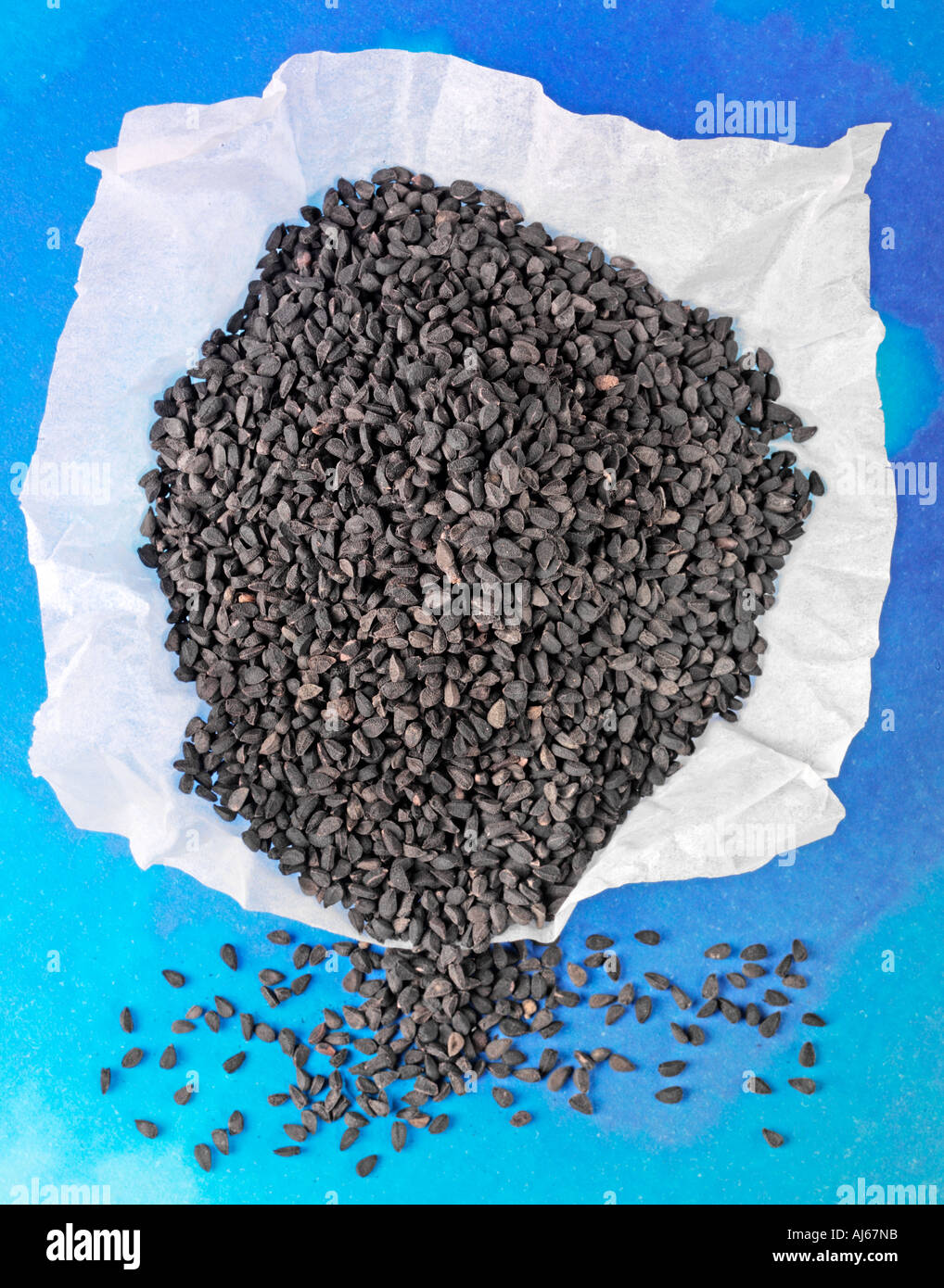 Onion seeds hi-res stock photography and images - Alamy