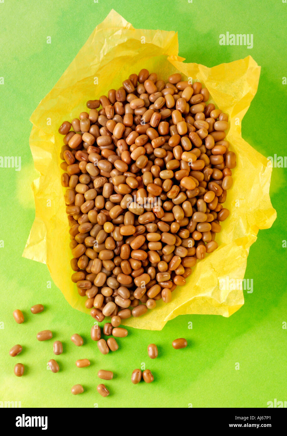 Muth hi-res stock photography and images - Alamy