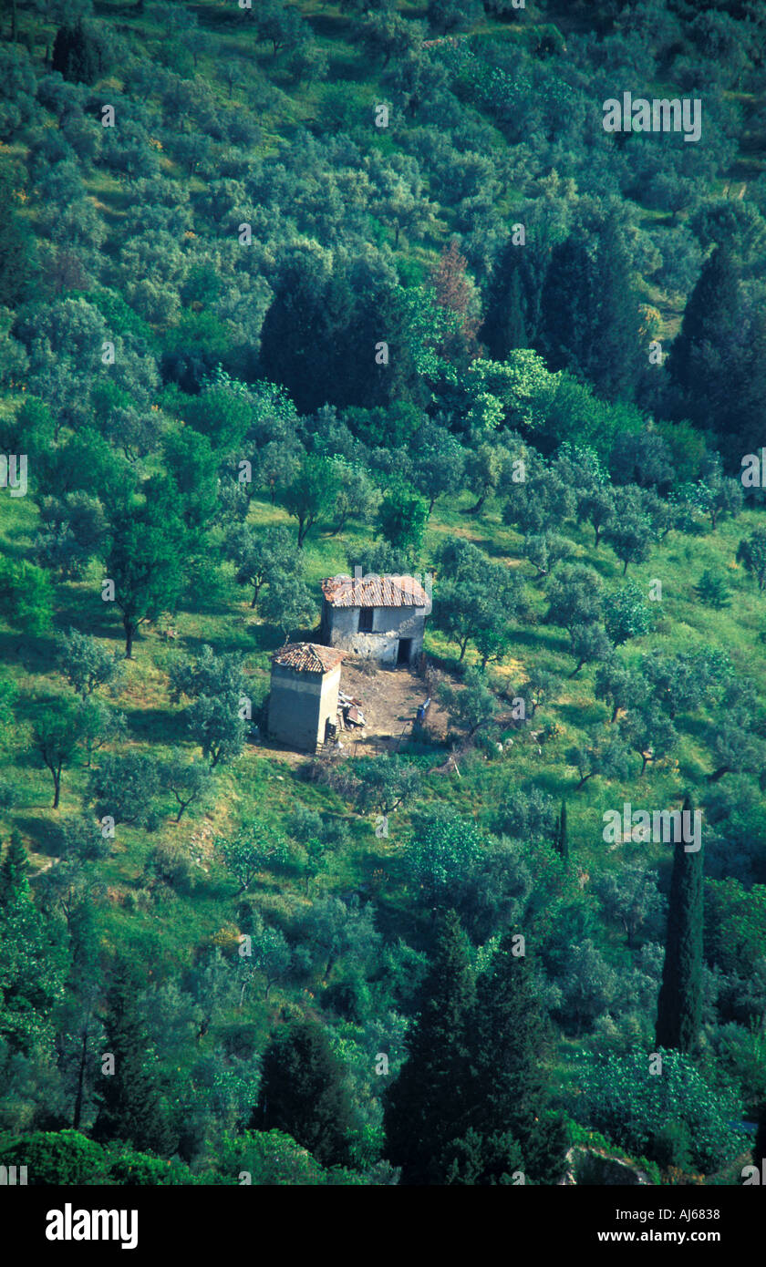 SMALL FARM IN OLIVE GROVE Stock Photo - Alamy