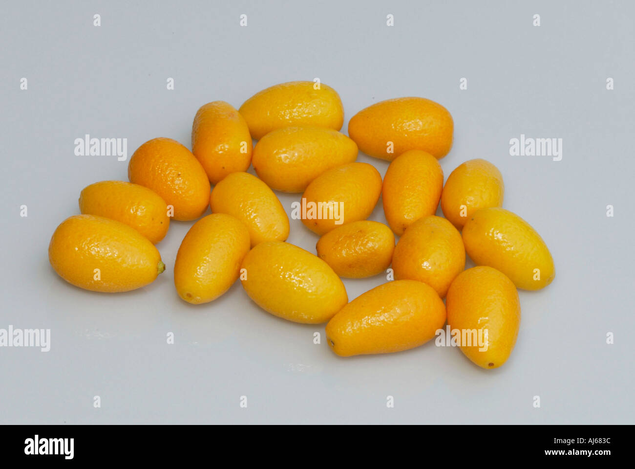Polyandra hi-res stock photography and images - Alamy